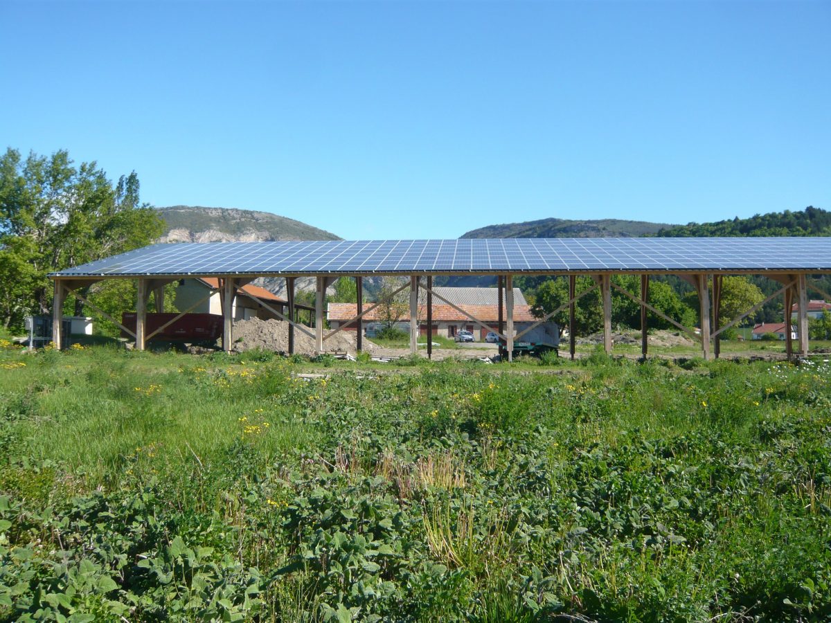 Centrales – NTF Energy